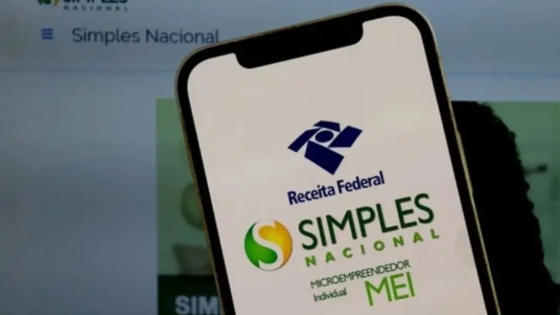 MEIs de Bady Bassitt têm até domingo para enviar declaração anual ...