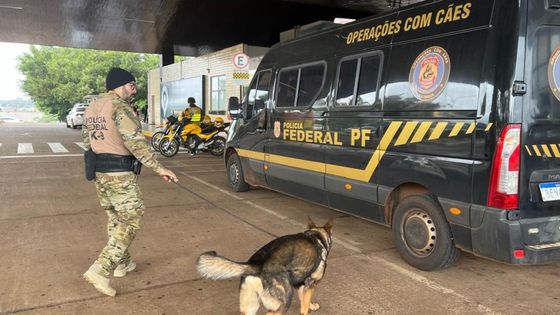 Dois Cães Farejadores Reforçam Equipe De Fiscalização Da Polícia Federal