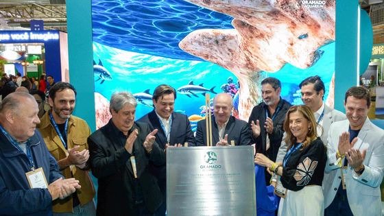 Grupo Oceanic construirá ginásio esportivo em contrapartida ao Gramado ...