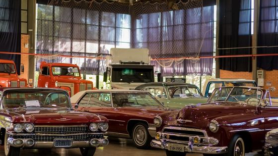 6º Encontro Car Collection acontece neste fim de semana em Nova Petrópolis