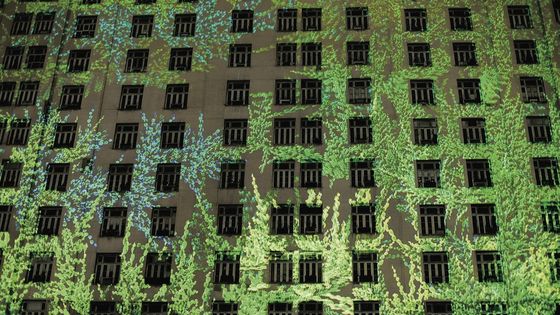 Canela Light Fest fará a cidade virar palco de arte, luz e consciência ...