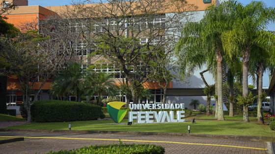 Universidade Feevale lança campanha Black November