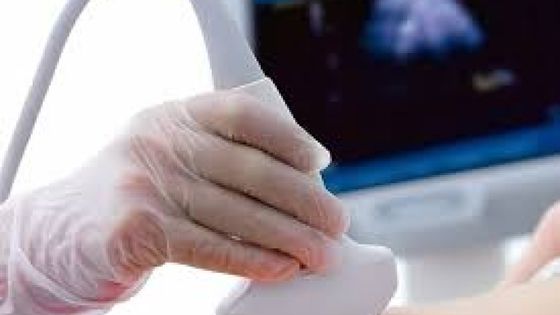 Tecnologia de bolso acelera diagnóstico de doenças femininas no ...