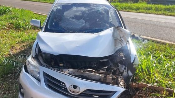 Homem Fica Ferido Após Bater Carro Em árvore Na Pr 180
