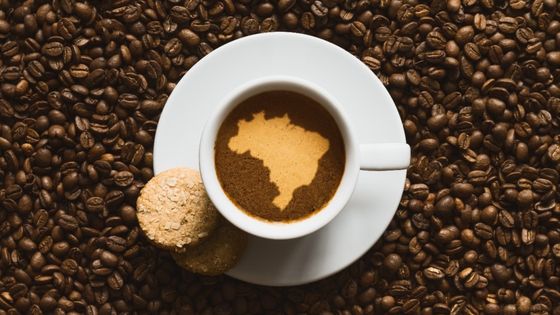 Café do Brasil: tradição, diversidade e inovação que consolidam o país