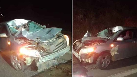 Carro com mulheres e crianças atropela cavalo na MGC-267 em Bandeira do Sul Carro com mulheres e crianças atropela cavalo na MGC-267 em Bandeira do Sul
