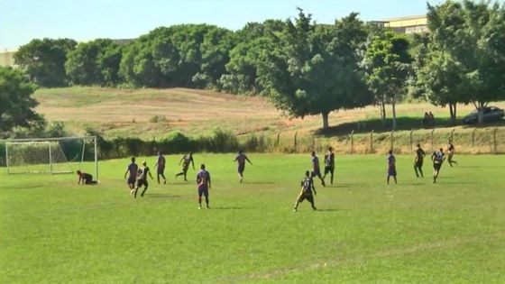 Colômbia busca taça inédita do Amador da Liga Piracicabana