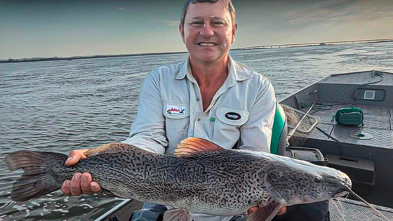 Pescador da região bate recorde nacional com captura de surubim manchado
