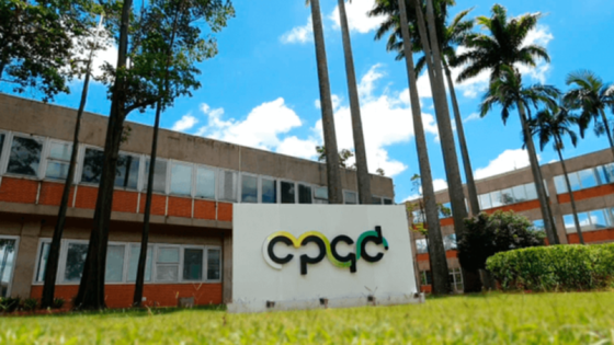CPQD abre 70 vagas de estágio em tecnologia com bolsas de até R$ 2,1 mil