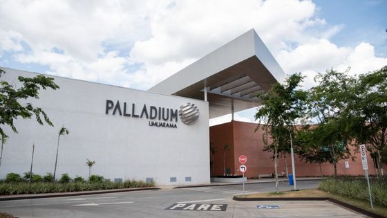 Encontro no Palladium reúne comunidade para falar sobre síndrome de Down