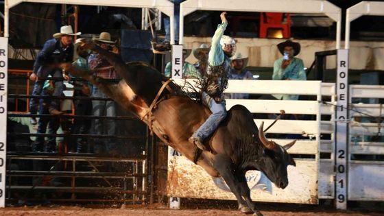 Expo Umuarama entra em clima de rodeio com entrada gratuita até quinta ...