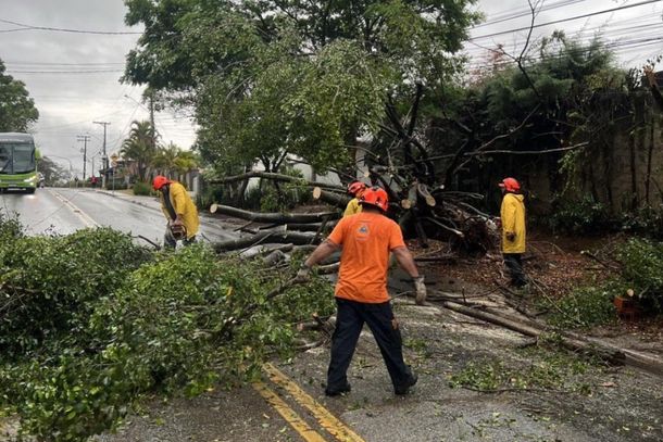 Temporal derruba mais de 80 árvores e postes em Atibaia