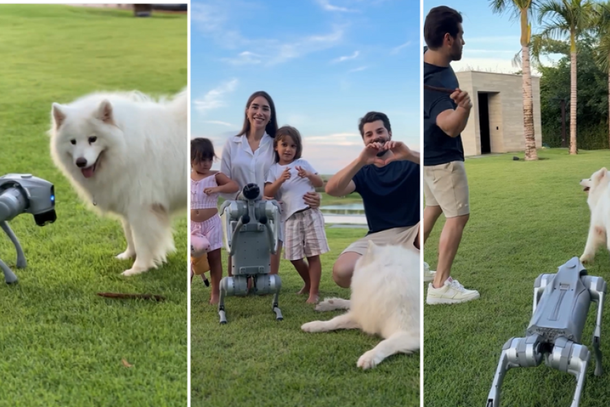 Você teria um cão robô como o do DJ Alok?