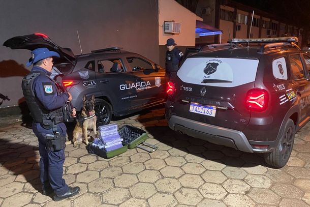 Cão farejador da Guarda Municipal encontra 25 quilos de maconha em ônibus