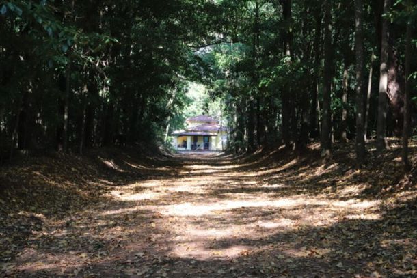 Prefeitura promove trilha educativa no Horto Florestal