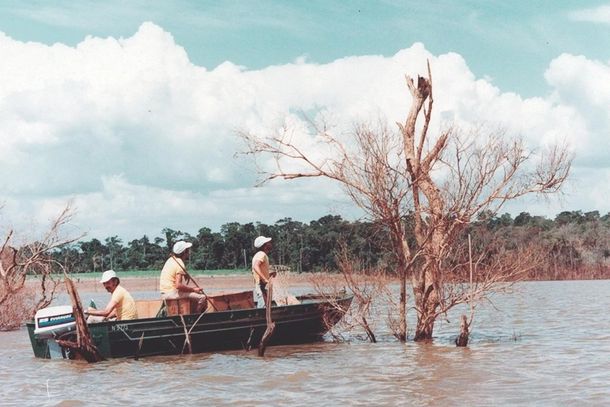 Há 40 anos, Itaipu resgatava 36 mil animais na formação do reservatório