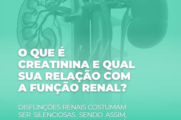 O que é a creatinina e o qual sua relação com a função renal?