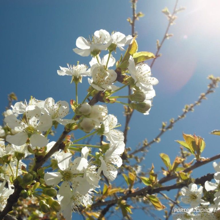 Primavera chega com ondas de calor e pancadas de chuvas frequentes.