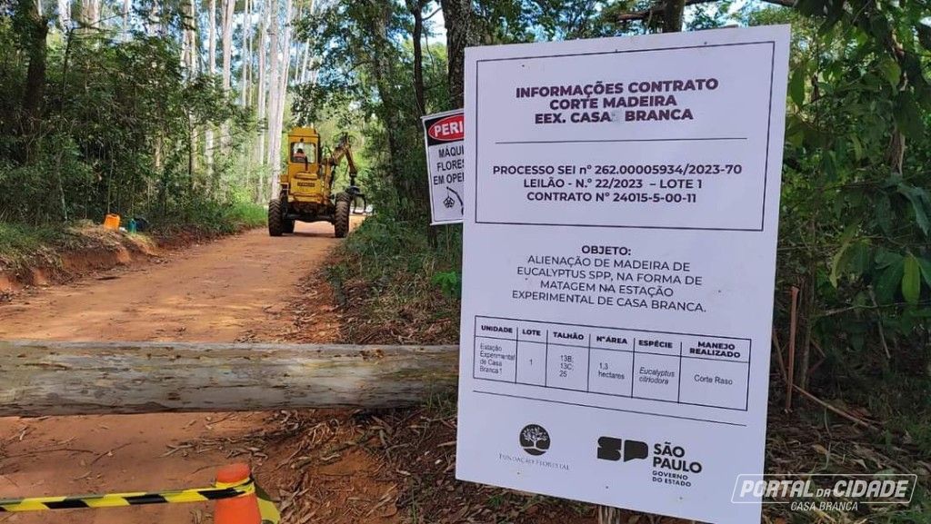 Estado realiza extração de madeira no Horto Florestal