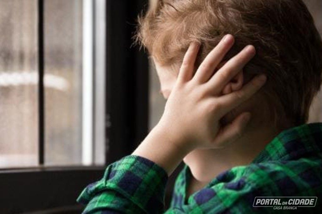 Fogos de artifício barulhentos podem gerar crise em autistas e animais