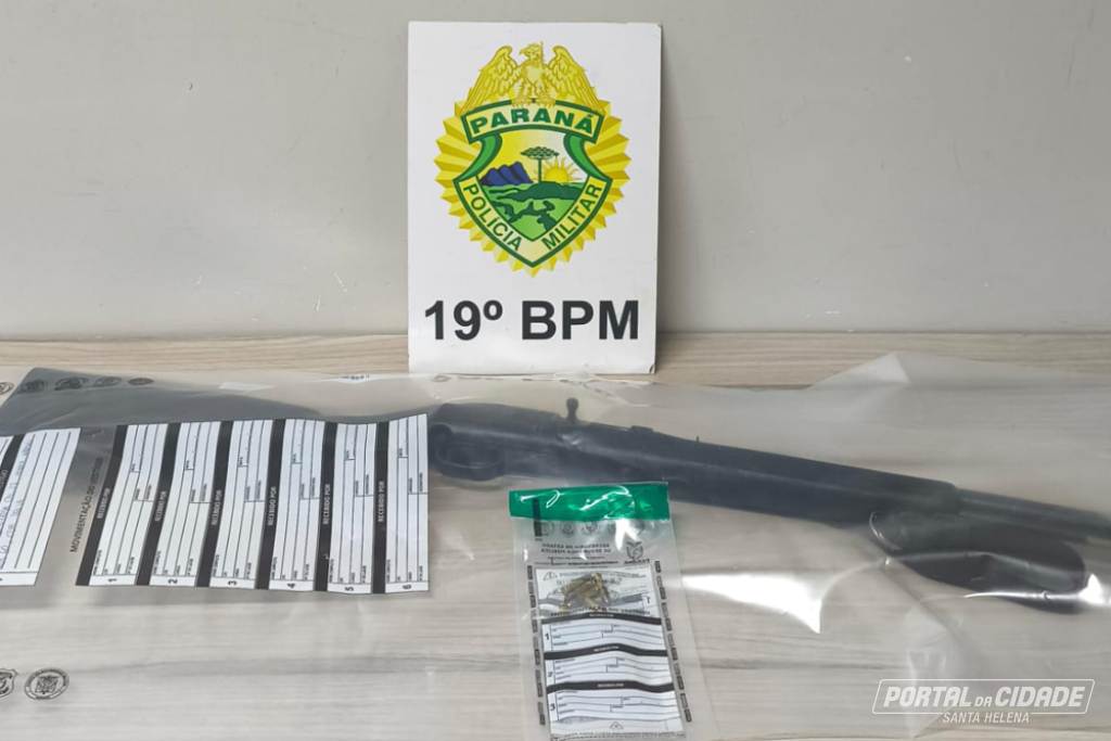 Violência doméstica, furto e arma irregular marcam ocorrências ...