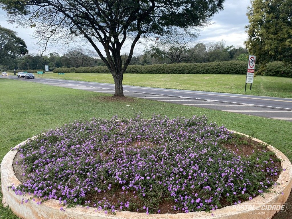 Semana começa com temperaturas elevadas em Céu Azul