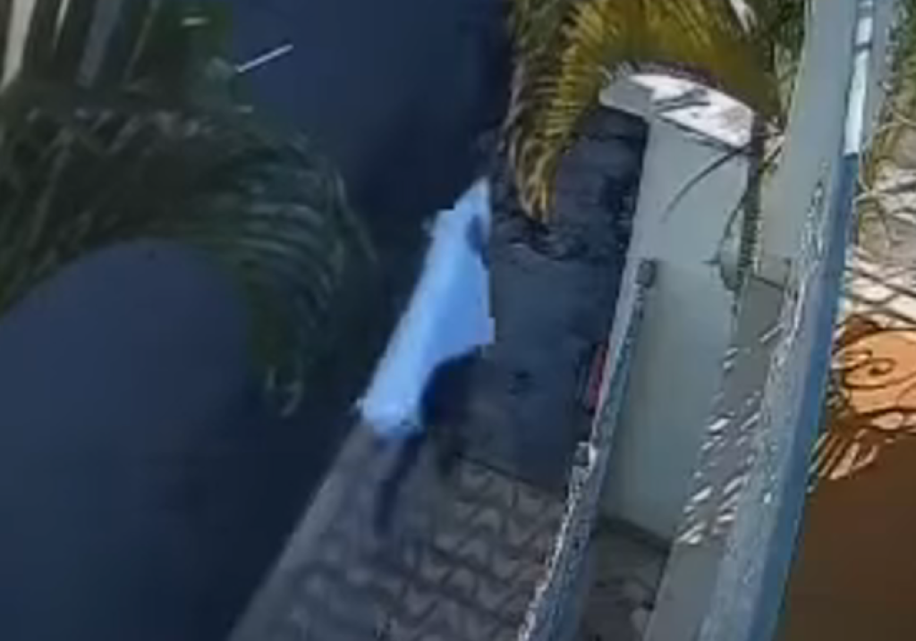 [Vídeo] Câmera de segurança flagra homem fugindo com TV furtada