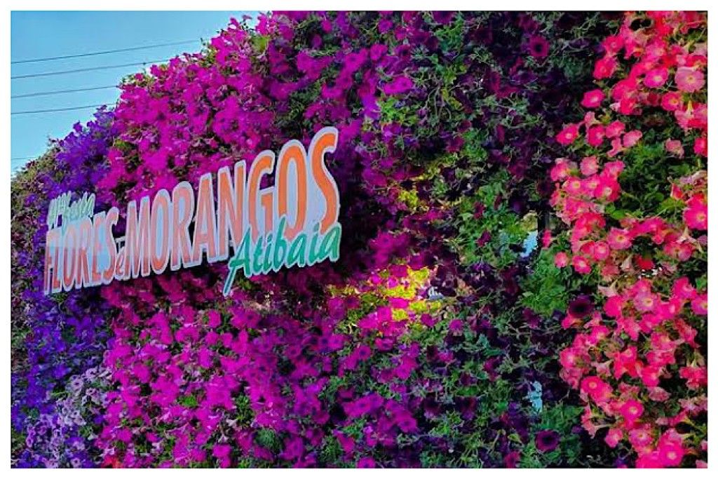 Compre já seu ingresso para a 42ª Festa de Flores e Morangos de Atibaia