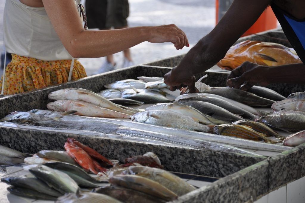 Confira dicas do Ipem-SP para comprar pescados com segurança na Quaresma