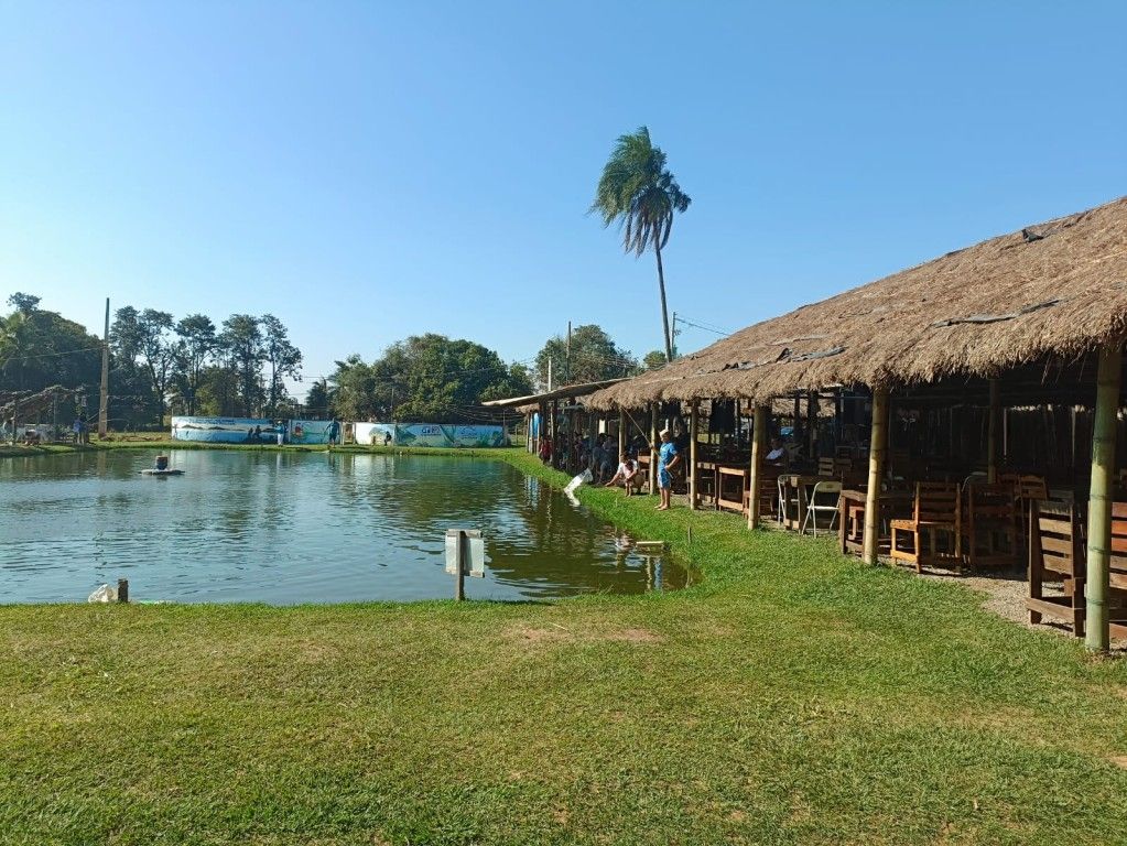 Pesqueiro de Birigui é um lugar especial para os amantes da pesca e ...