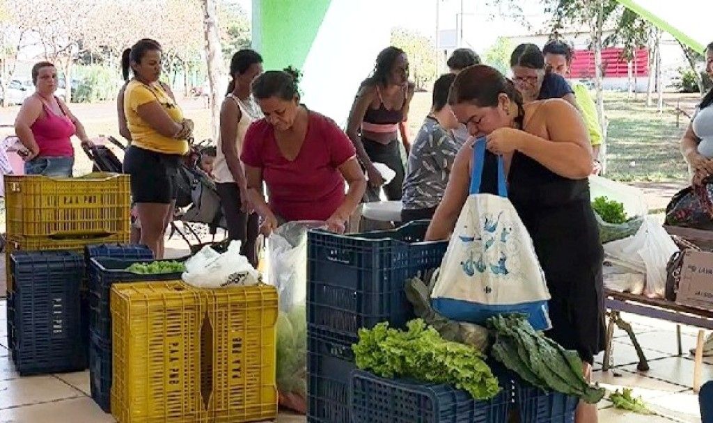 Programa de Alimentos atende cerca de 4 mil pessoas por semana em Birigui