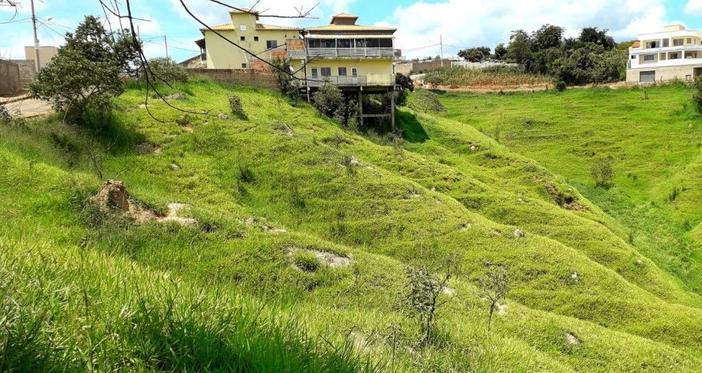 1.000 mudas de espécies nativas da Mata Atlântica foram plantadas no ...