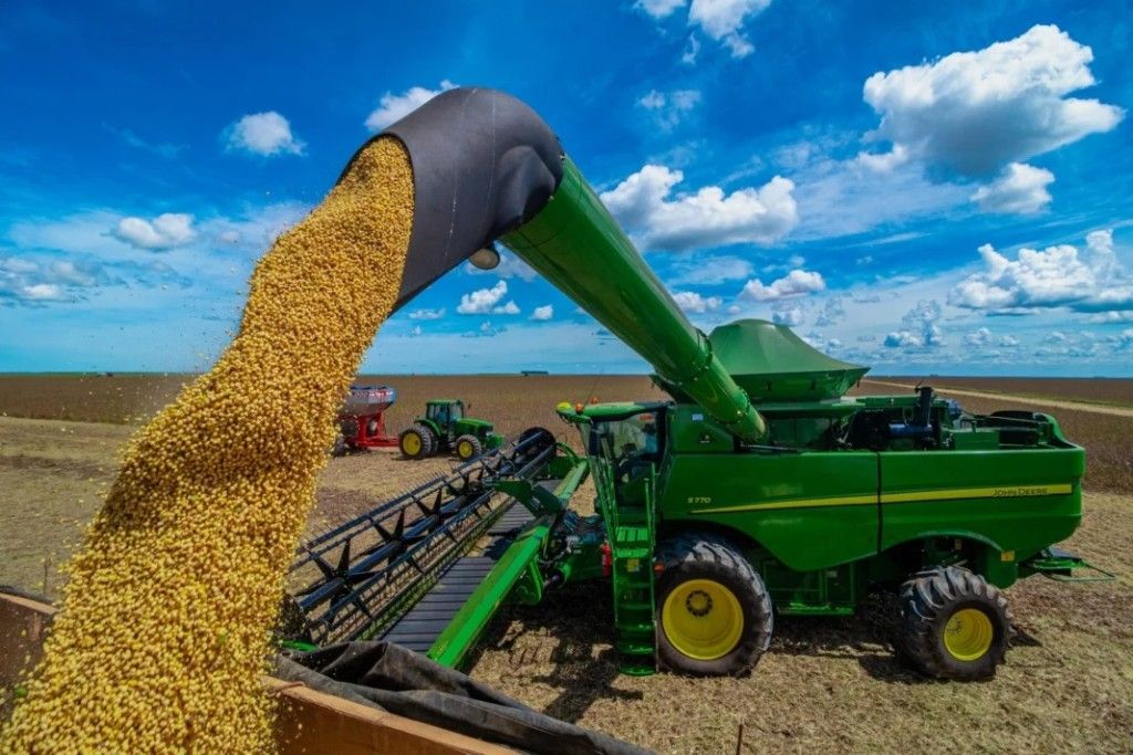 Caarapó e municípios do Cone Sul se destacam no agronegócio brasileiro