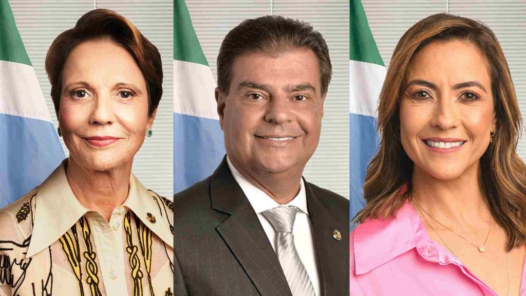 Senadores de MS foram autores e relatores de matérias voltadas a mulheres