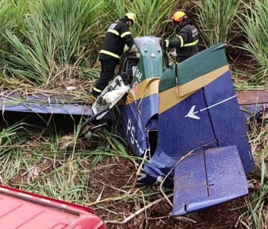 Avião cai enquanto realizava pulverização em plantação; piloto morreu ...