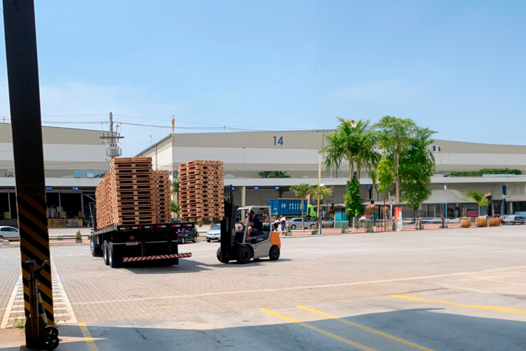 SF Pallets: facilitando a logística e promovendo a sustentabilidade em ...