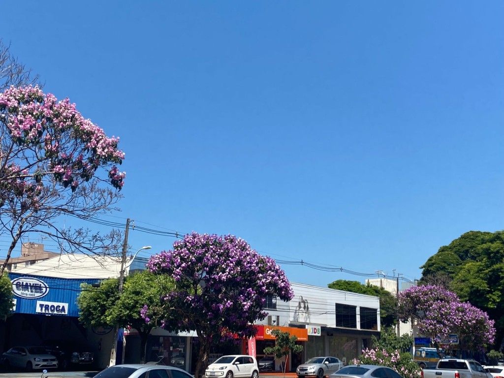 Início da semana terá sol entre nuvens e altas temperaturas em Cianorte