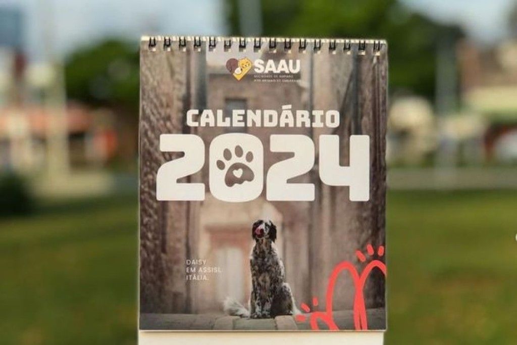 Venda de calendário ajuda a manter a Saau em Umuarama; saiba como ...