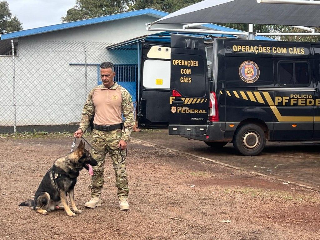 Dois Cães Farejadores Reforçam Equipe De Fiscalização Da Polícia Federal