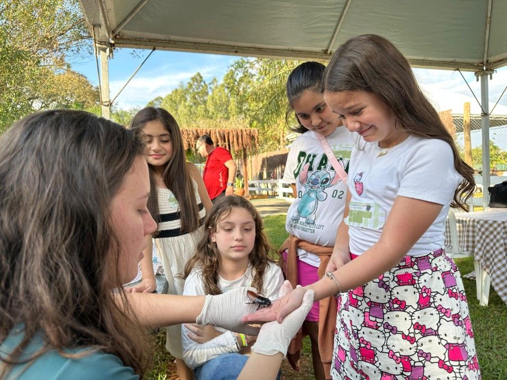 Crianças viram mini veterinários e biólogos na Colônia de Férias do Eco ...