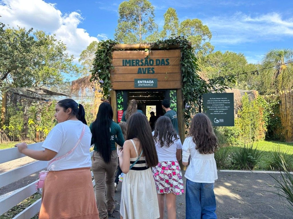 Crianças viram mini veterinários e biólogos na Colônia de Férias do Eco ...