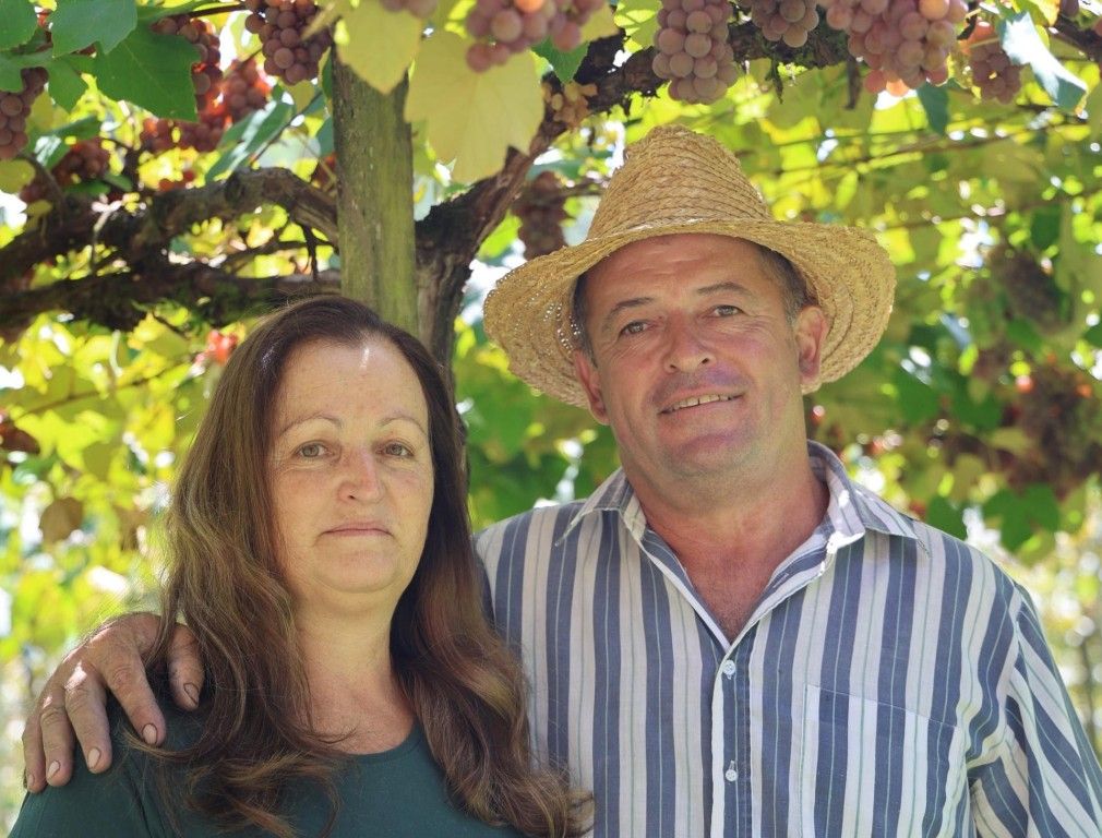 Vinícola Lazaretti aposta na tradição familiar e vinhos de identidade ...