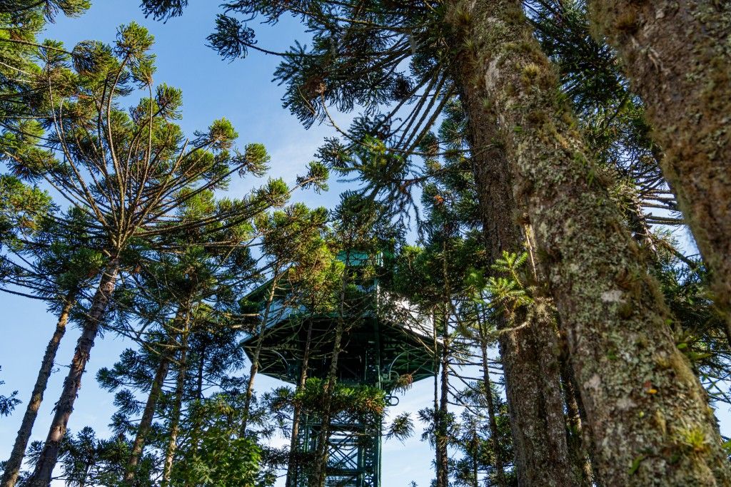 Parque do Caracol reabre como opção de turismo de natureza e aventura ...