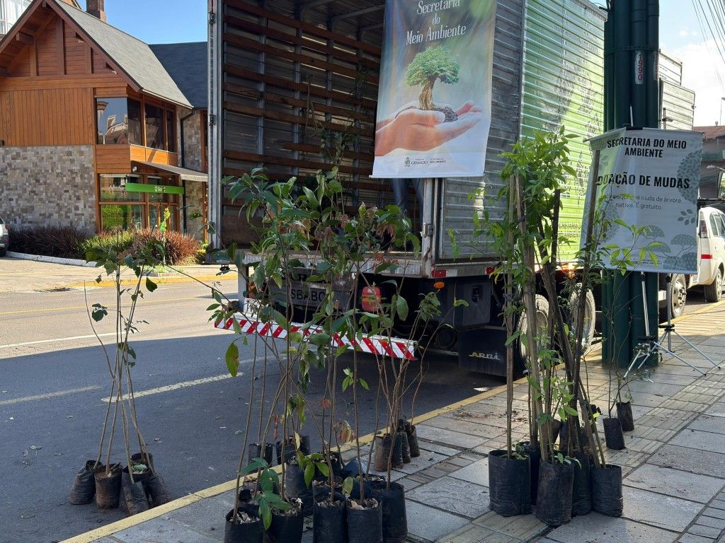 Semana da Árvore incentiva plantio de espécies nativas em Gramado