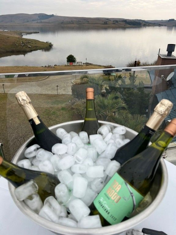 Divisa Experience Resort amplia experiência com a vinicultura em São Francisco