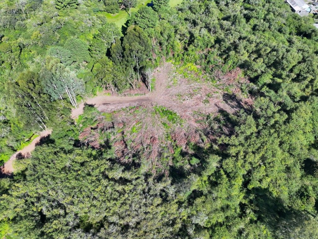 Polícia Ambiental realiza Operação Força Verde nas cidades de Canela e ...