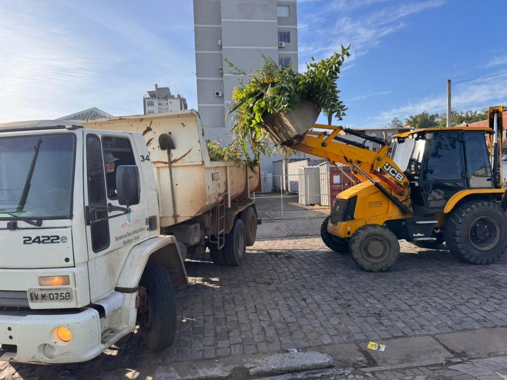 Jardim do Prado recebe recolhimento de podas a partir desta quinta ...