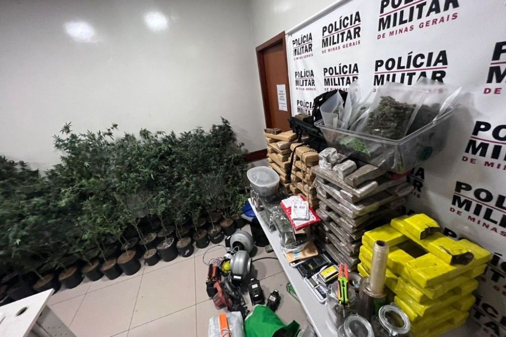 PM desmancha laboratório de cultivo de maconha e apreende drogas em ...