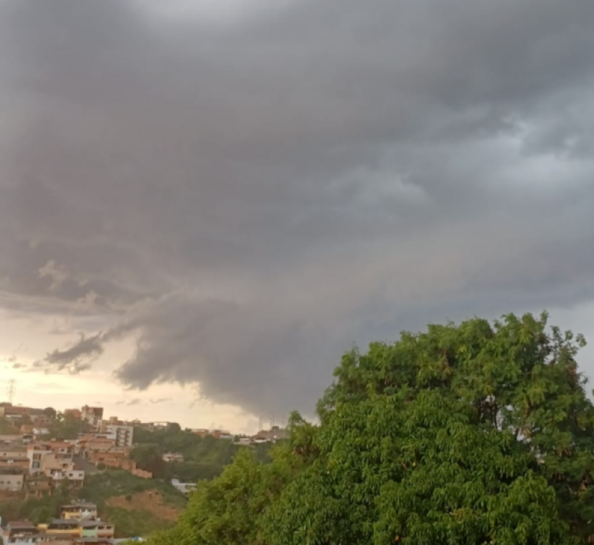 Temporal Causa Quedas De árvores E Alagamentos Em Ipatinga