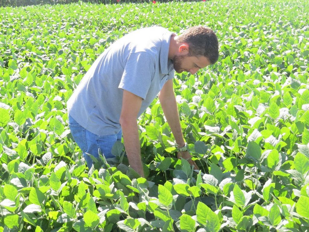 Lucas do Rio Verde: Fundação Rio Verde desenvolve mais de 230 pesquisas ...